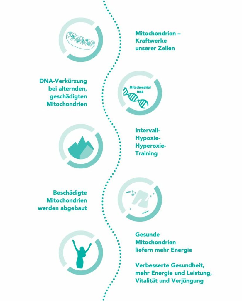 IHHT-Intervall-hypoxie-hyperoxie-training-hypoxbreath - Domitner ...